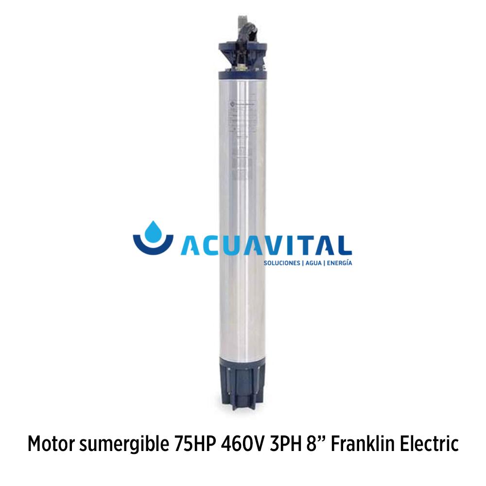 Motor sumergible 75HP Franklin 2396238641