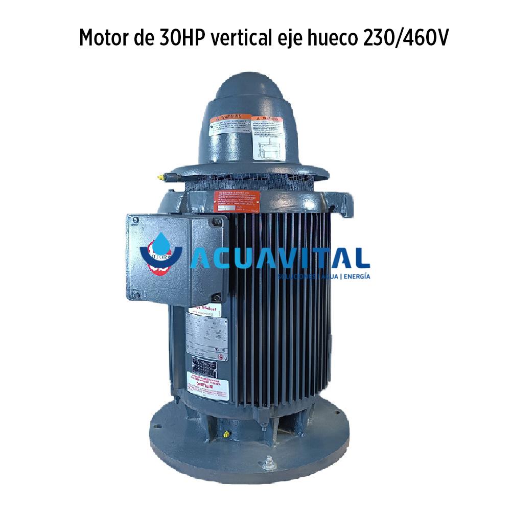 Motor vertical 30HP USmotor H030E2BLG