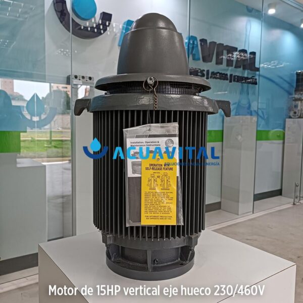 Motor vertical 15HP USmotor H015S2BLE