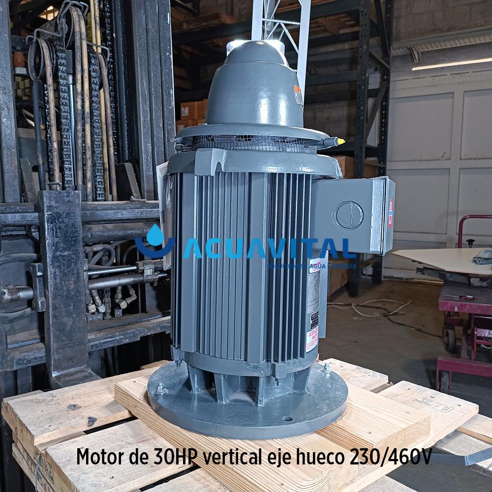 Motor vertical 30HP USmotor H030E2BLG