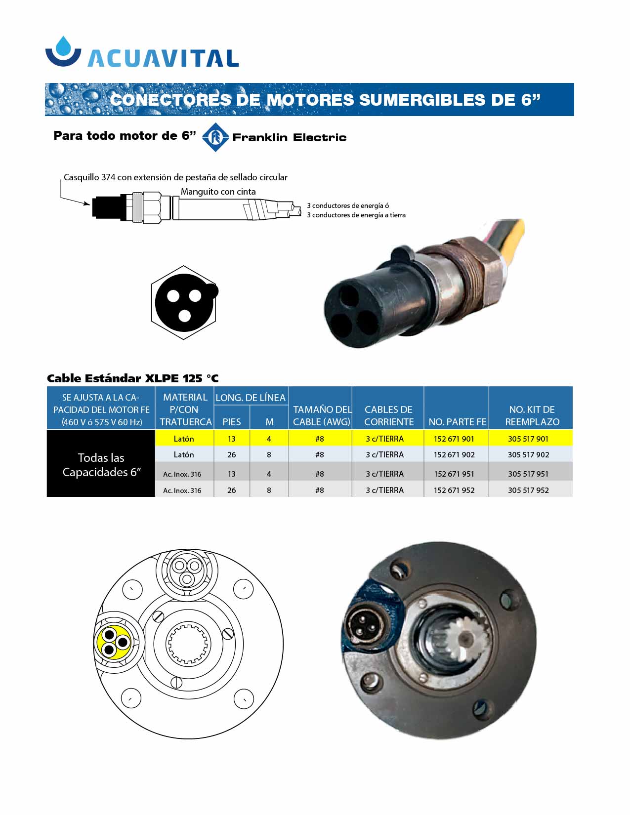 Cable Conector motor 6in Franklin 305517901